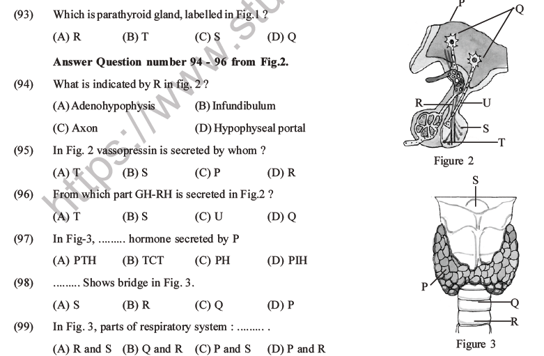 NEET Biology Chemical Coordination and Control MCQs Set B with Answers